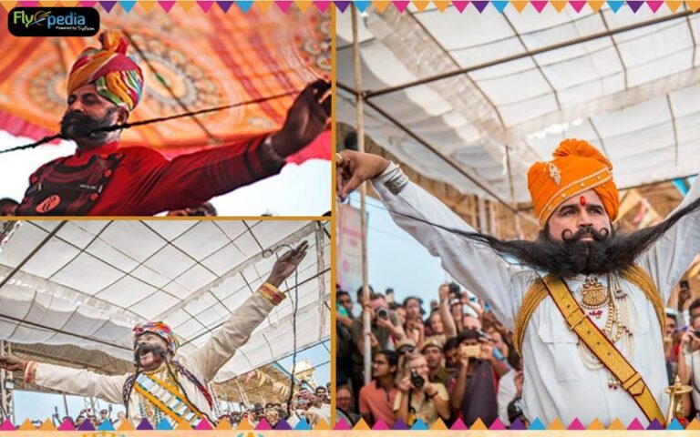 5 Fun Activities to do at Pushkar Fair or Mela in November