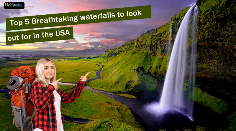 Top 5 Breathtaking waterfalls to look out for in the USA