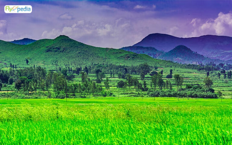 How To Spend Your Summer In Andhra Pradesh, India?