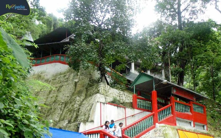 Exploring Siliguri: 5 Unmissable Experiences for the New Year