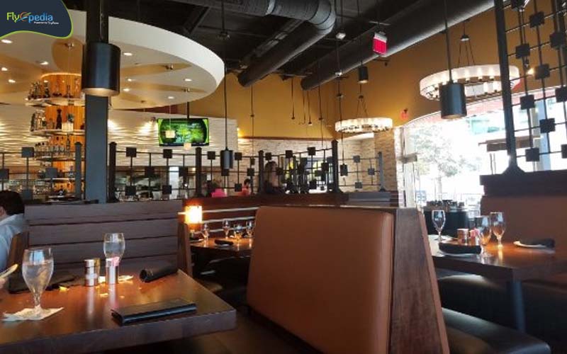 Taste the Best at These Restaurants Close to Dallas Airport
